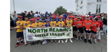 North Reading Little League > Home